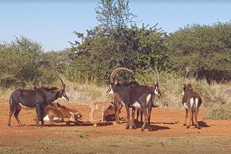 Warmbaths - Bela-Bela - acttours